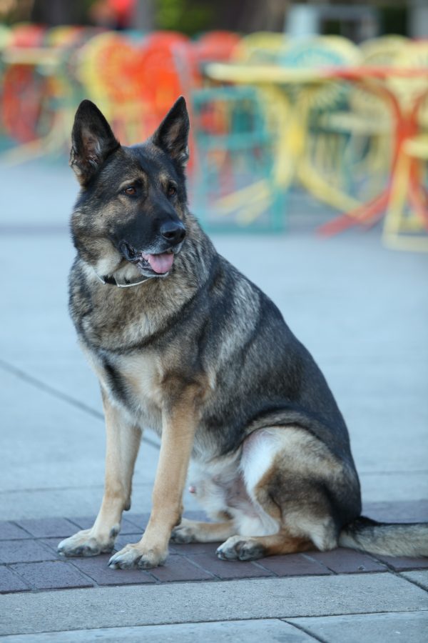 Odin - UW–Madison Police Department