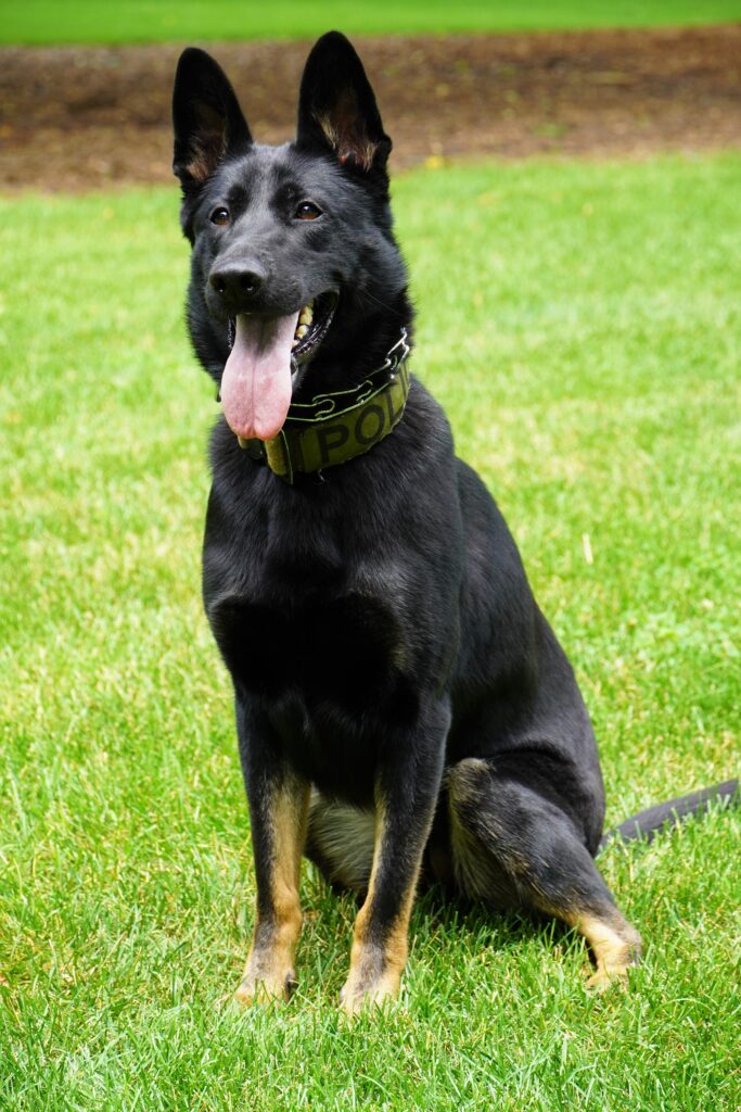 Spotlight on Your UWPD Squad - UW–Madison Police Department